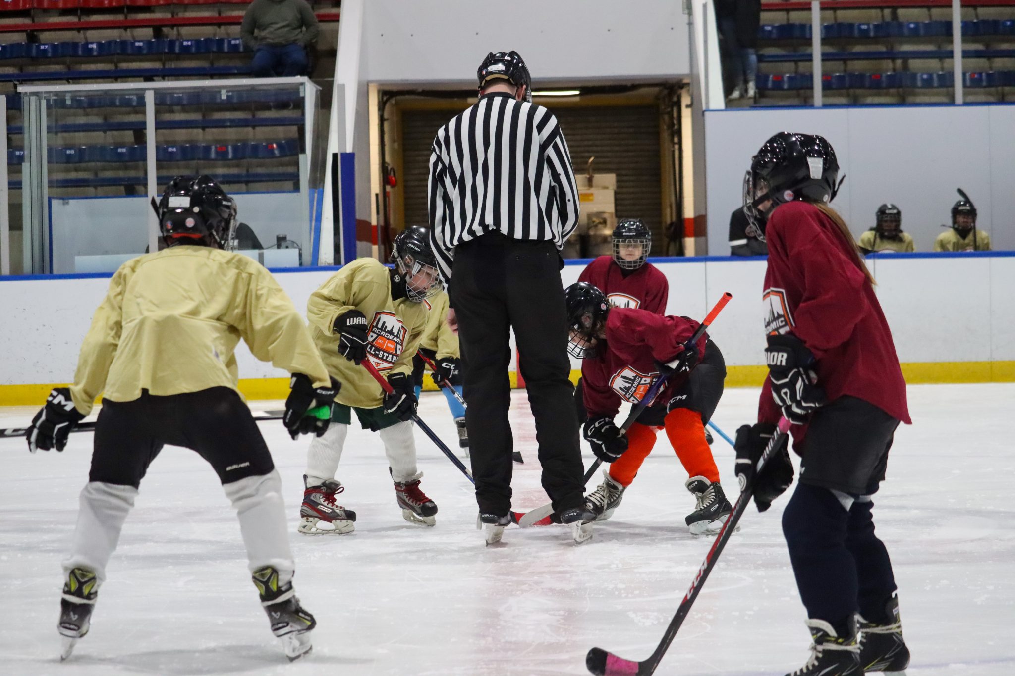 Homepage | Ed Snider